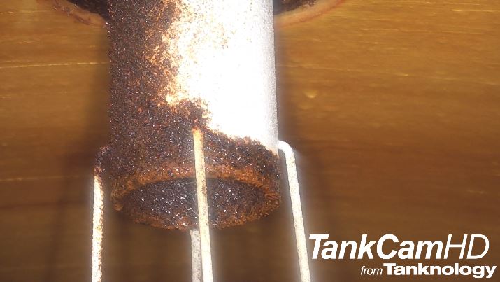 Tank Trouble Tuesday - Tanknology