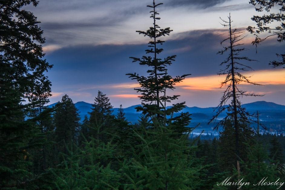 A Season of Splendor | Mountain Top Spice