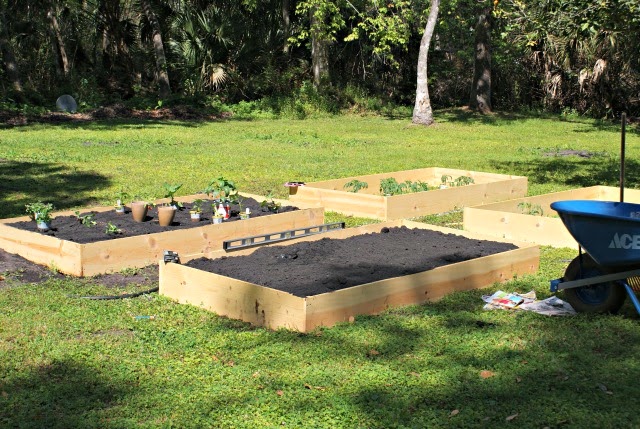 Planning & Building a Raised-Bed Vegetable Garden | The Two Bite Club