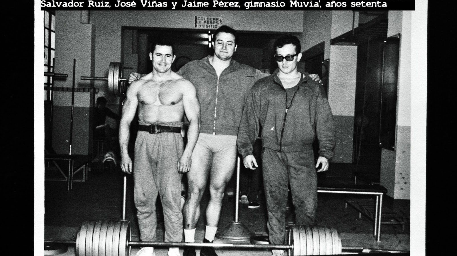 Agencia Febus : La WNBA rendirá tributo al escritor y culturista José Viñas