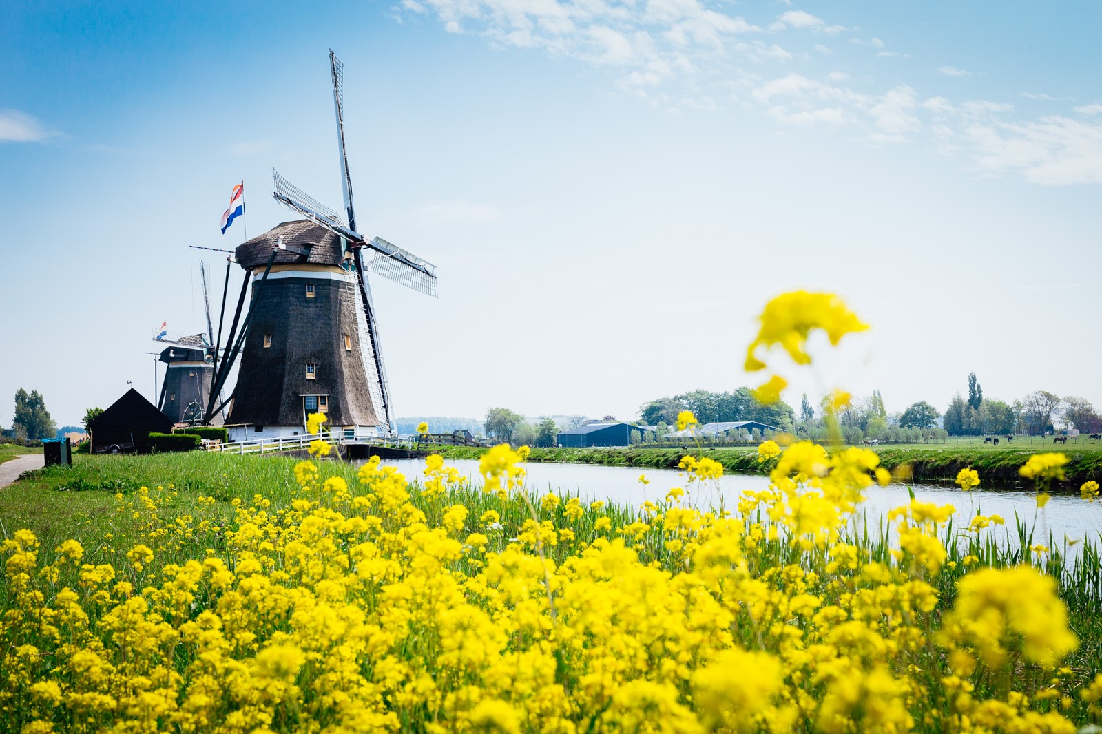Travel: Dutch Countryside