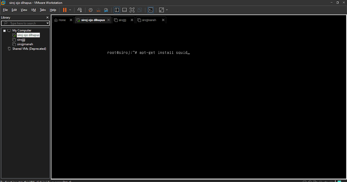 INSTALASI DAN KONFIGURASI PROXY SERVER DEBIAN 7 DI VM WARE: INSTALASI ...
