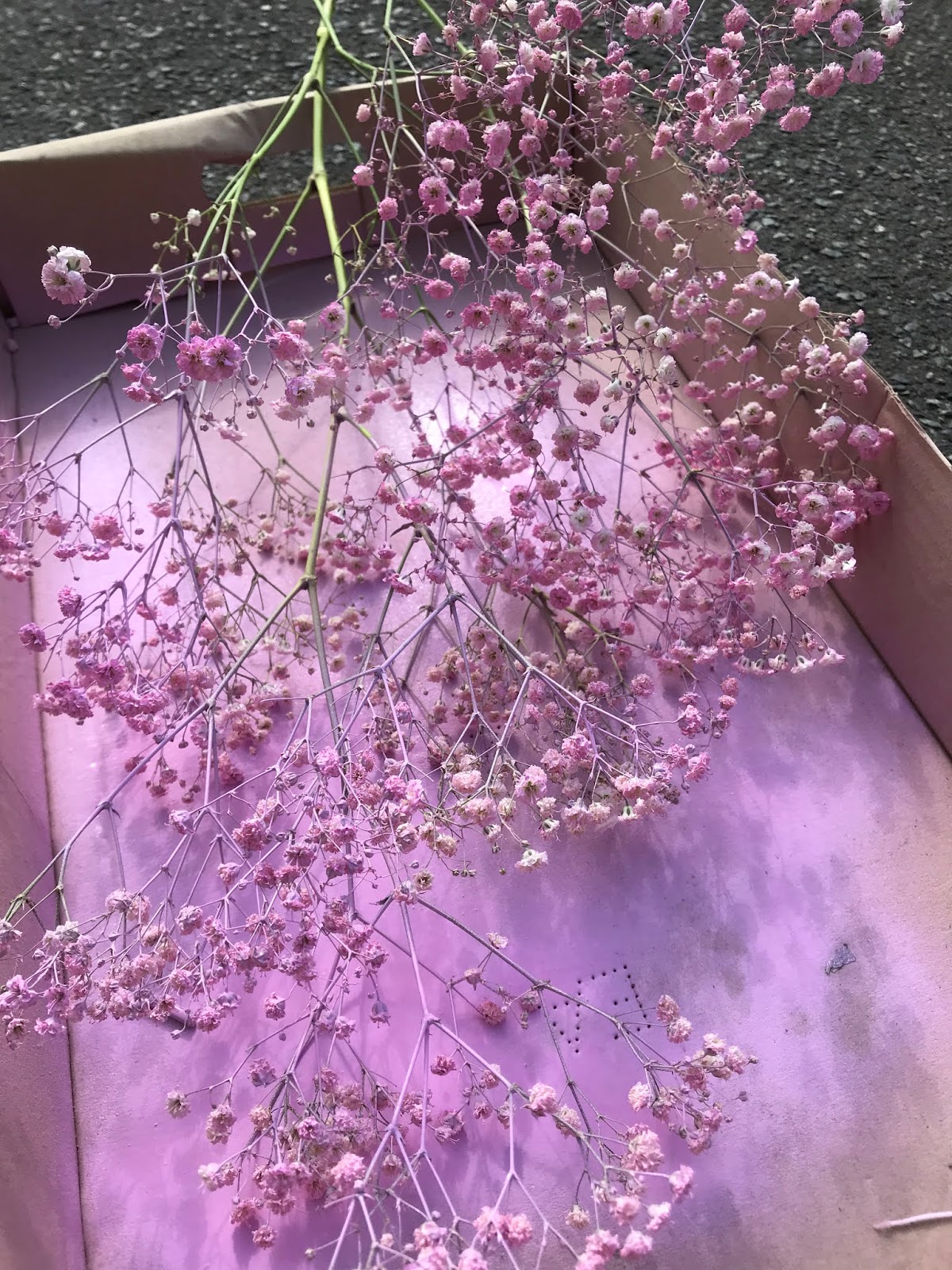 Fleuriste Isabelle Feuvrier: Le gypsophile rose...