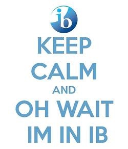 are you the IB: 5 Best Picture in IB Memes