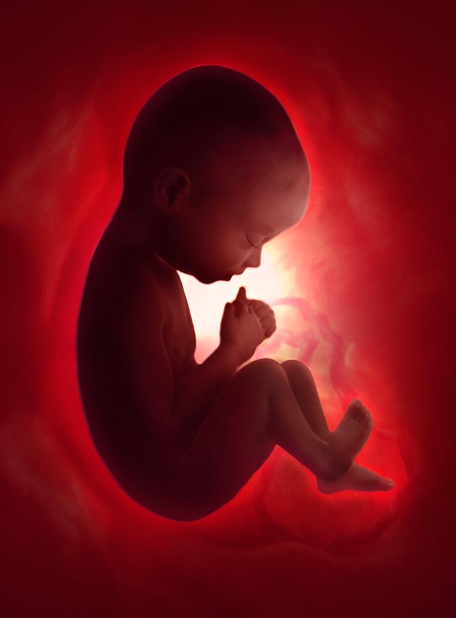 The Child within relationship to meditation often replicates the foetus ...