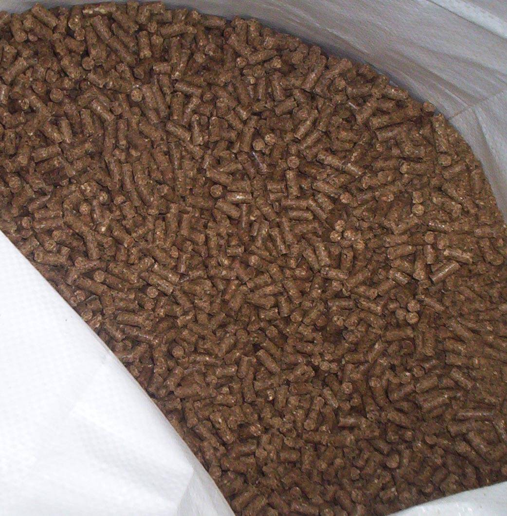 Bunny Homes: Bunny Care