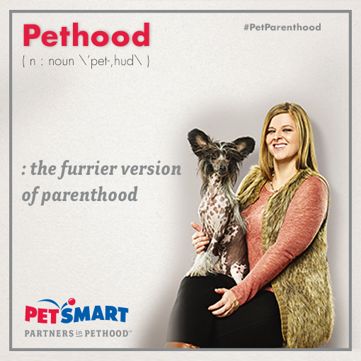 PetSmart Has Been There From the Beginning On My Journey Through ...