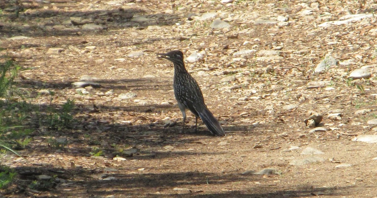 Seasonality:Embracing Change : BEE-BEEP!