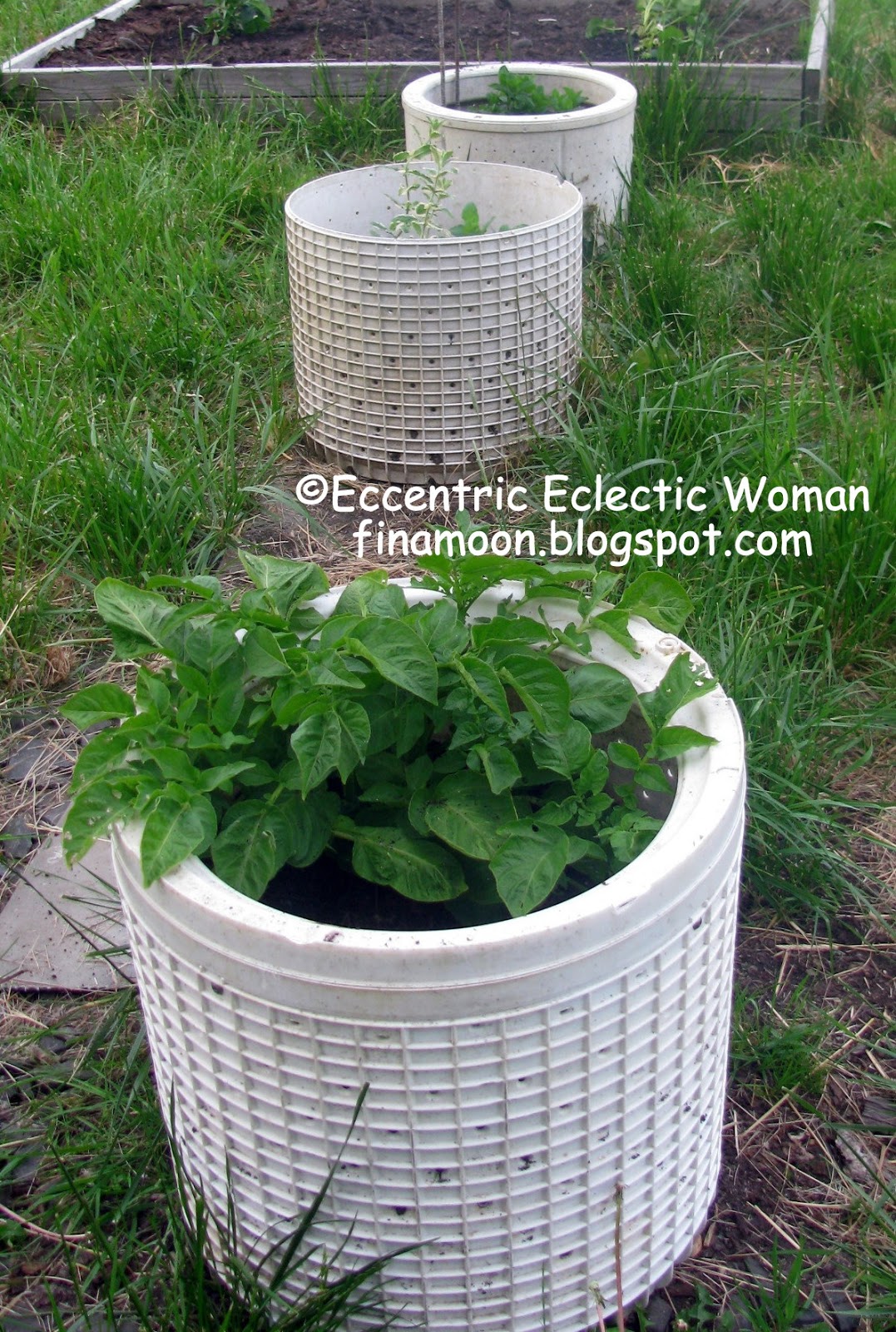 Eccentric Eclectic Woman: DIY Upcycled Ideas for Washing Machine Parts