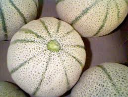 Green Horizon: Rockmelon