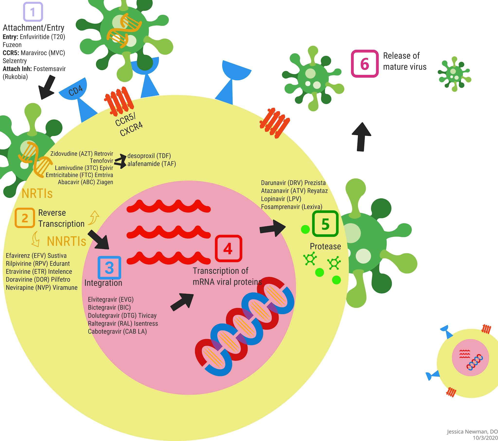 Jayhawk Infectious Diseases: Approaching HIV cases