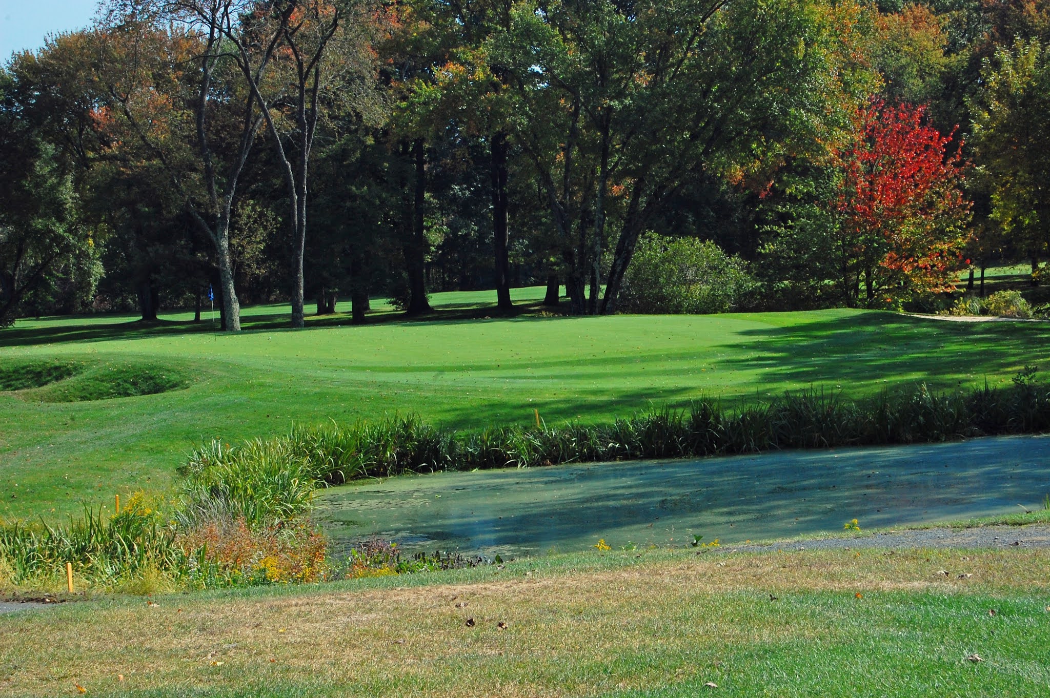 Gone Golf'in or Gone Photograph'in: Ludlow Country Club, Massachsetts