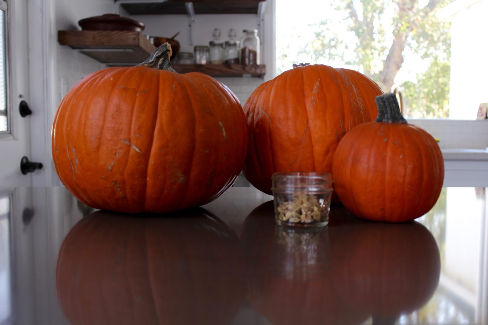 all kinds of yum: Sunday: Pumpkin Preserves