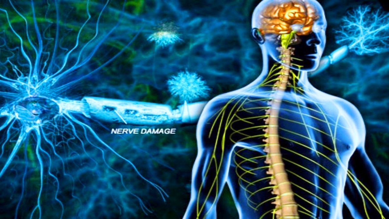 Laxmi Homeo Clinic: Brachial Neuralgia treatment and remedies