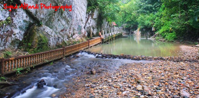 The stream at the park.