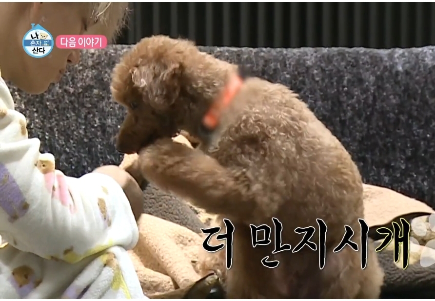 [PANN] KAI PREVIEW ON 'I LIVE ALONE' ~ netizens on EXO