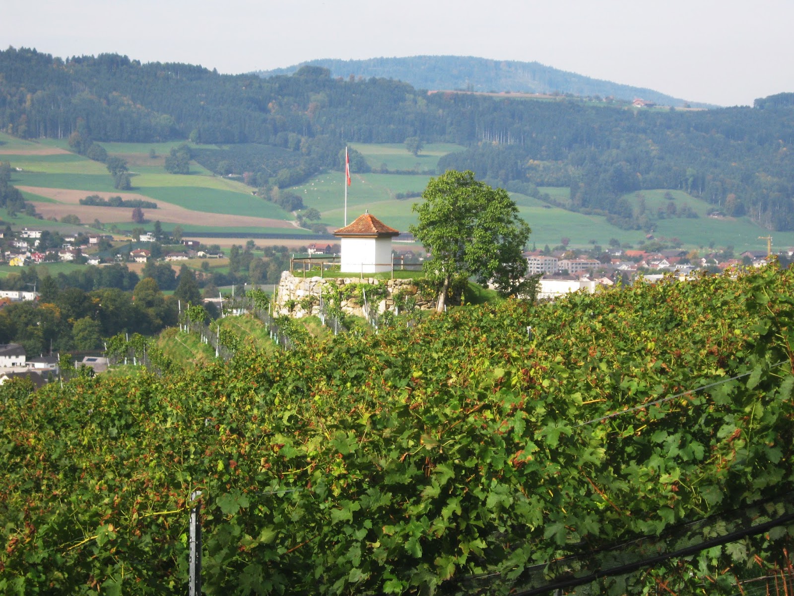 Wanderlust: Gelfingen – Hitzkirch – Aesch – Mosen, 28.09.2017