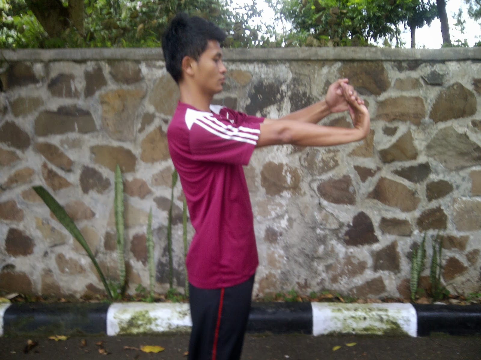 herdiansyah agus: PEREGANGAN STATIS AKTIF (ACTIVE STATIC STRETCHING)