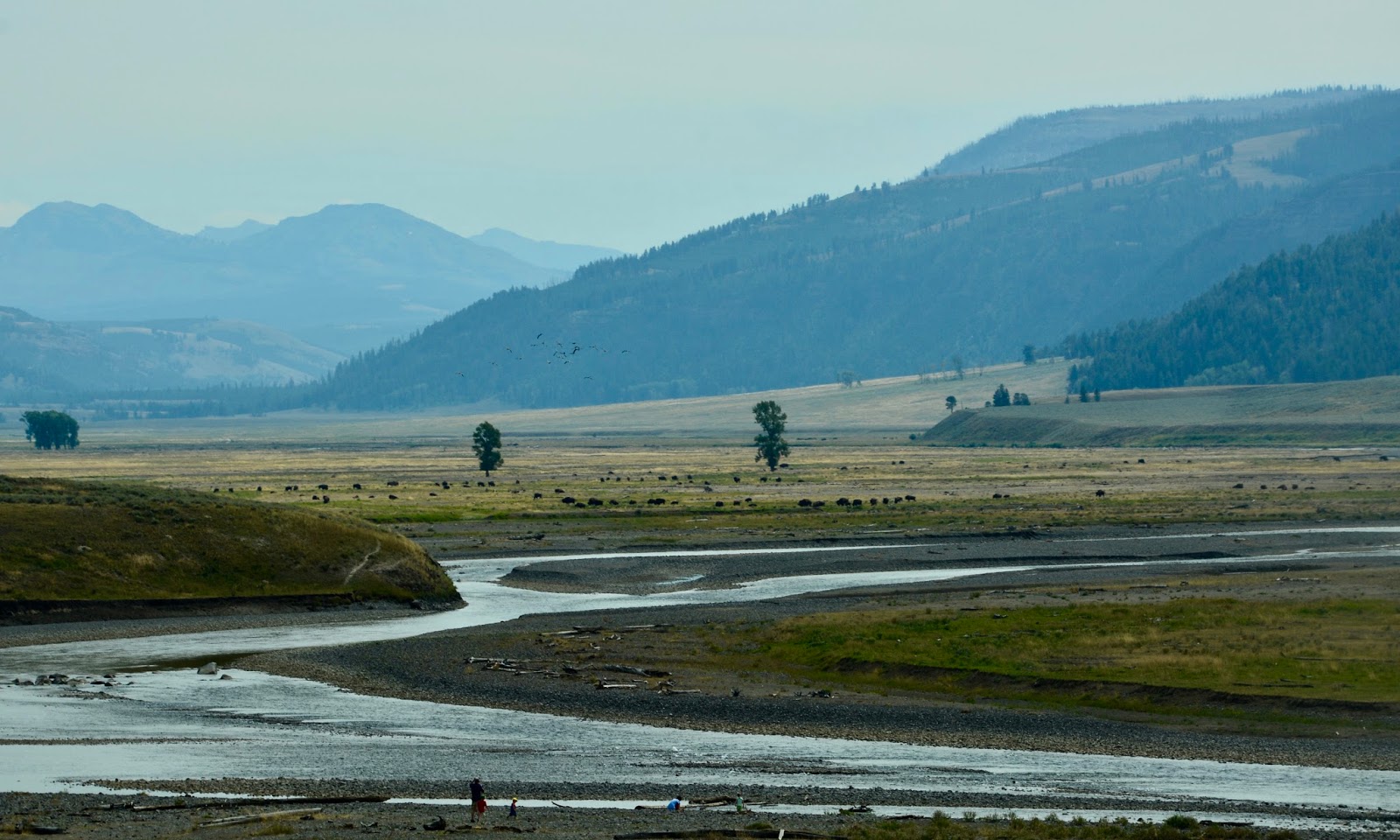 venturing4th: Lamar Buffalo Ranch - 8/19/17