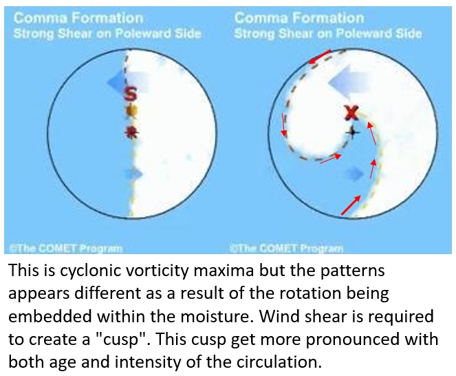 The Art and Science of Phil the Forecaster: A Closer Look at Rotational ...