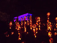 Auntie Nettie's Attic: Pumpkins, Posses, and Poses