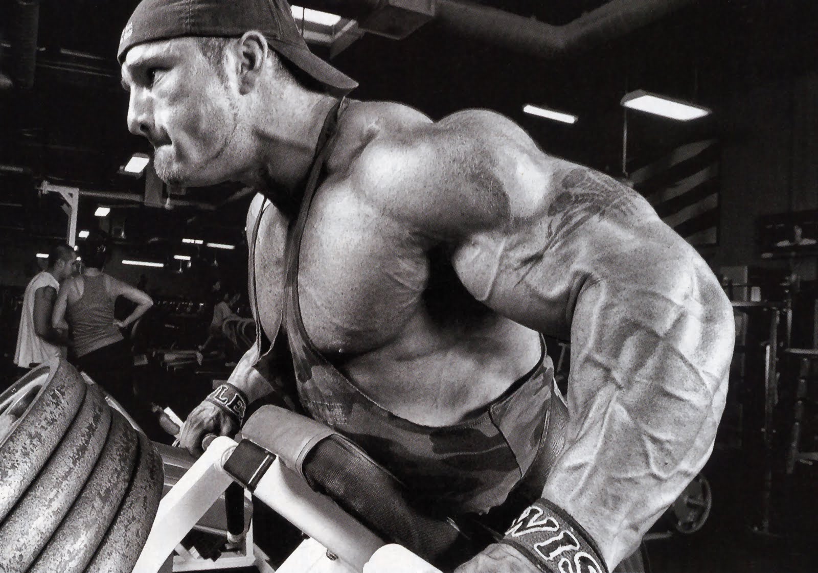 the beauty of male muscle: James