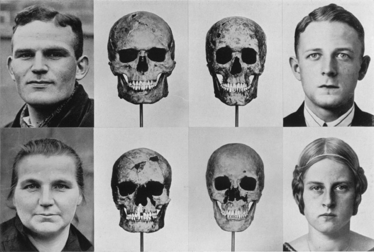 ΦΥΛΕΤΙΚΑ: Κρομανοειδείς και Νορδικοί