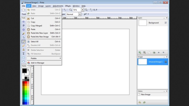 Pinta Download Free for Windows 10, 7, 8, 8.1 32/64 bit Latest