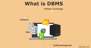 web technologies: DBMS