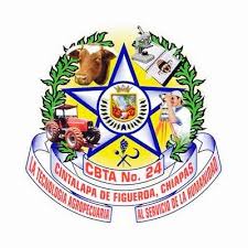 Modulo III OFIMATICA CBTA 24 CINTALAPA