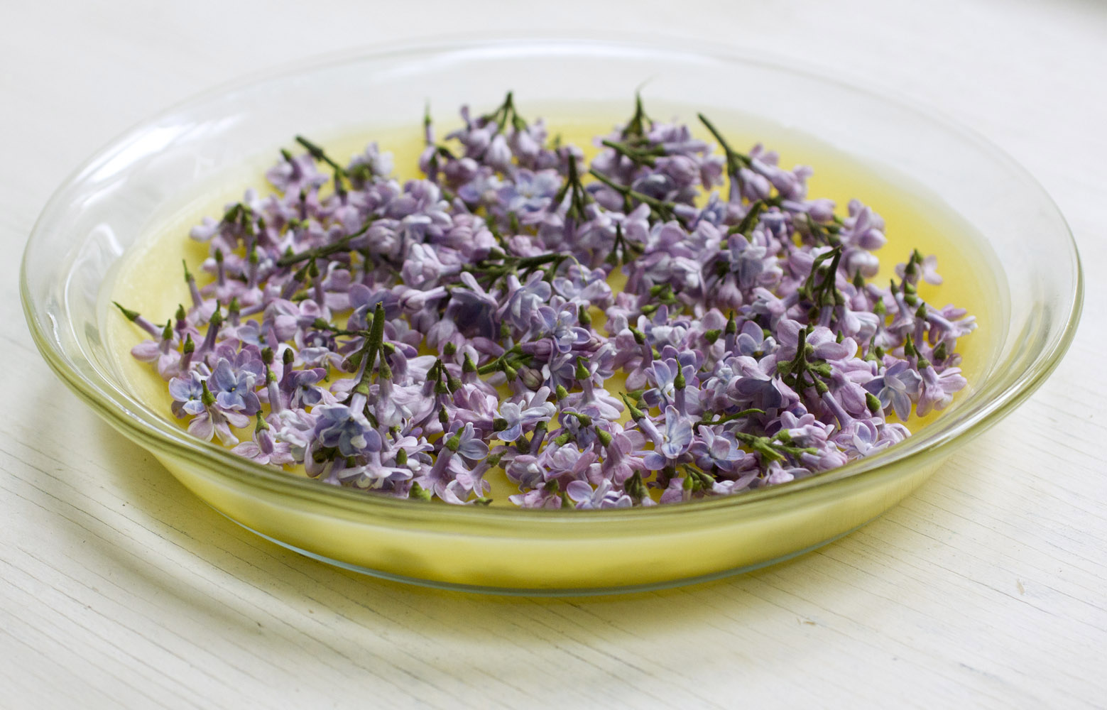 Illuminated Perfume: Full Flower Moon Enfleurage