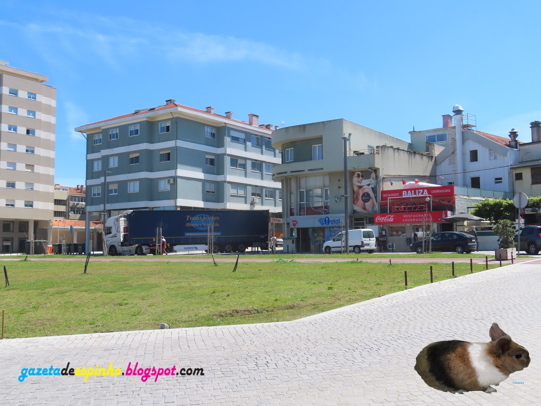 Gazeta de Espinho: ReCaFe - Várias vezes não passa os camiões Tir na ...