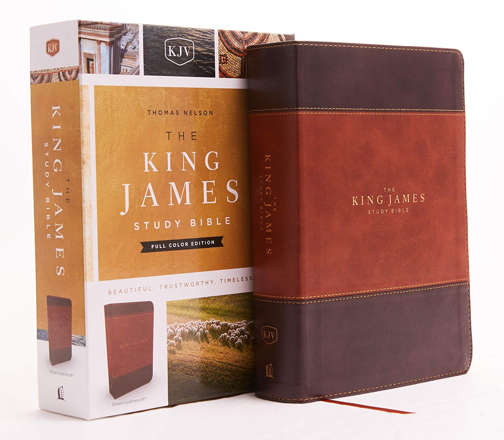Eccentric Eclectic Woman: King James Study Bible, Full Color Edition ...
