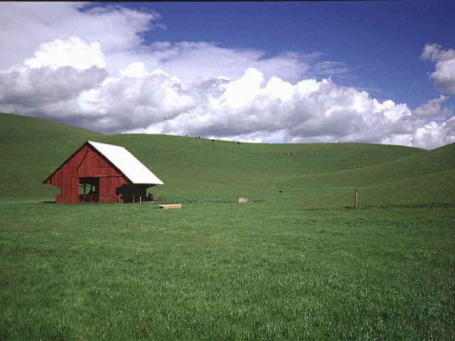 Senari Wallpaper ~ Entertainment Spy