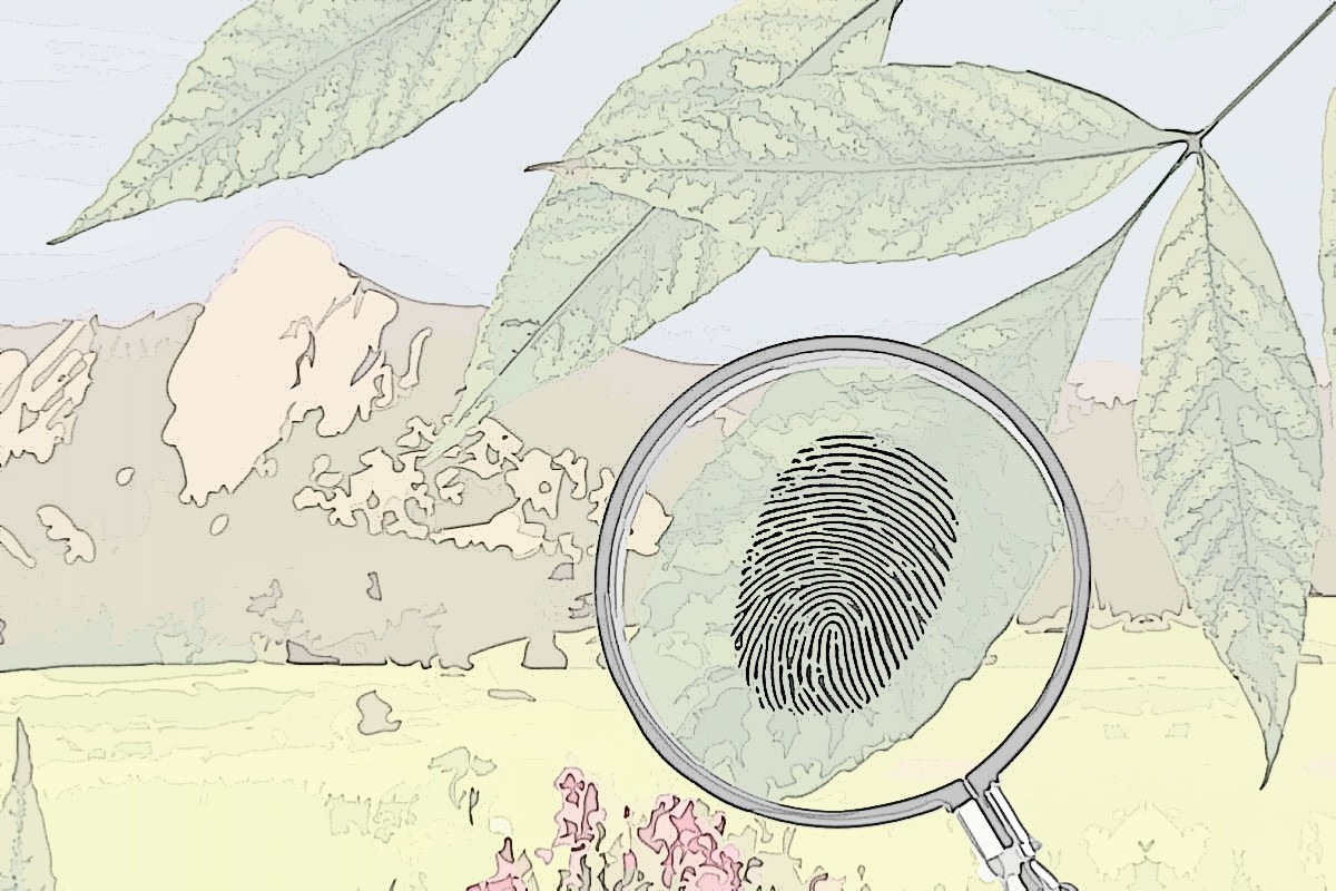 Forensic Botany | Importance of Botany in Forensic Science | Budding ...