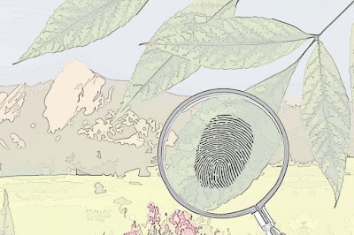 Forensic Botany | Importance of Botany in Forensic Science | Budding ...