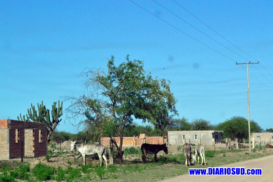 Hoy te invitamos a conocer Vaca Human, en el interior del Dpto. Salavina