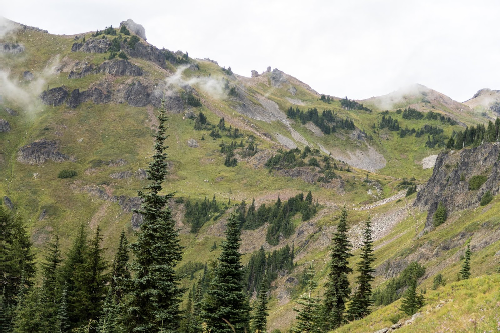 Eric's Hikes: Goat Rocks Wilderness: Goat Lake Loop and Old Snowy