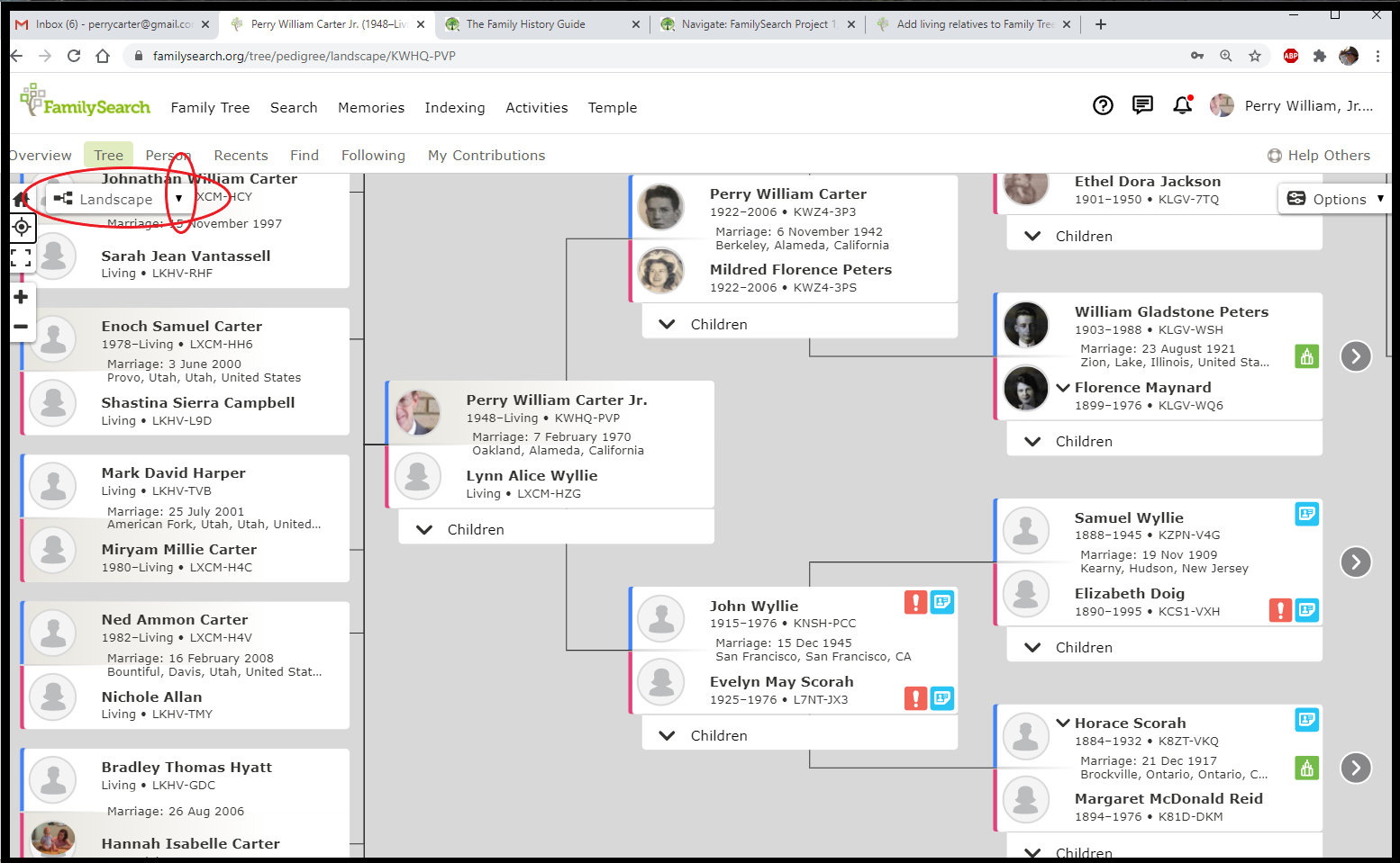 Temple and Family History Lesson 3: The Family Tree