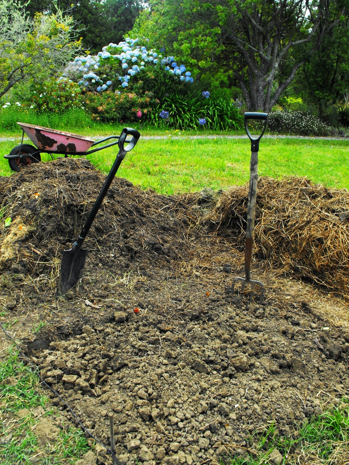 Happy Ramblings: A third vegetable patch!