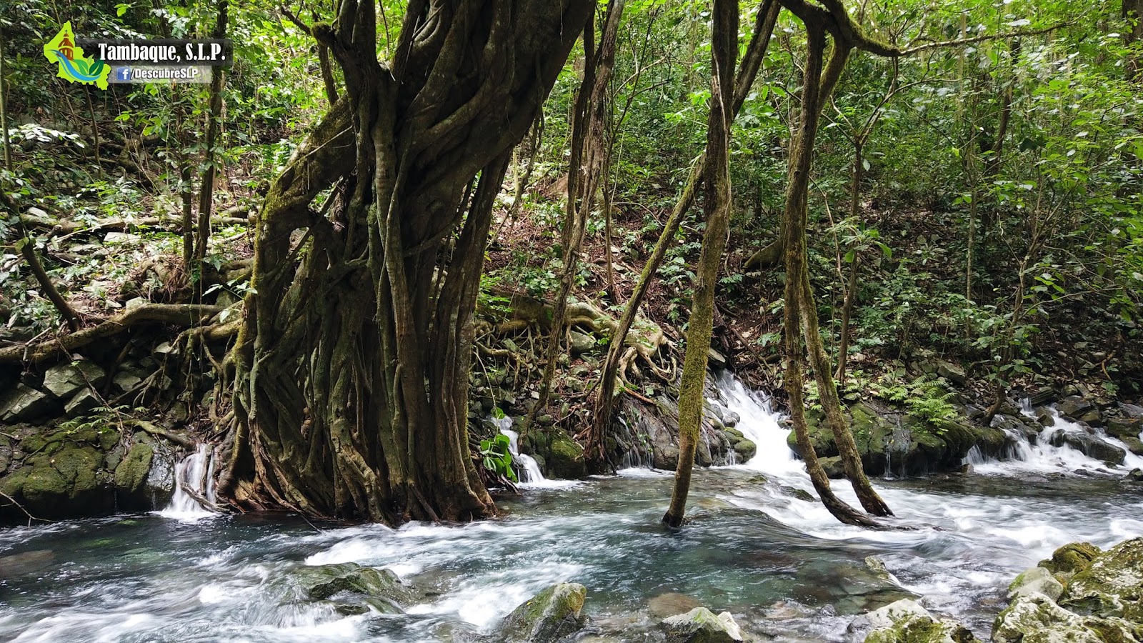 Descubre SLP: El Manantial de Tambaque