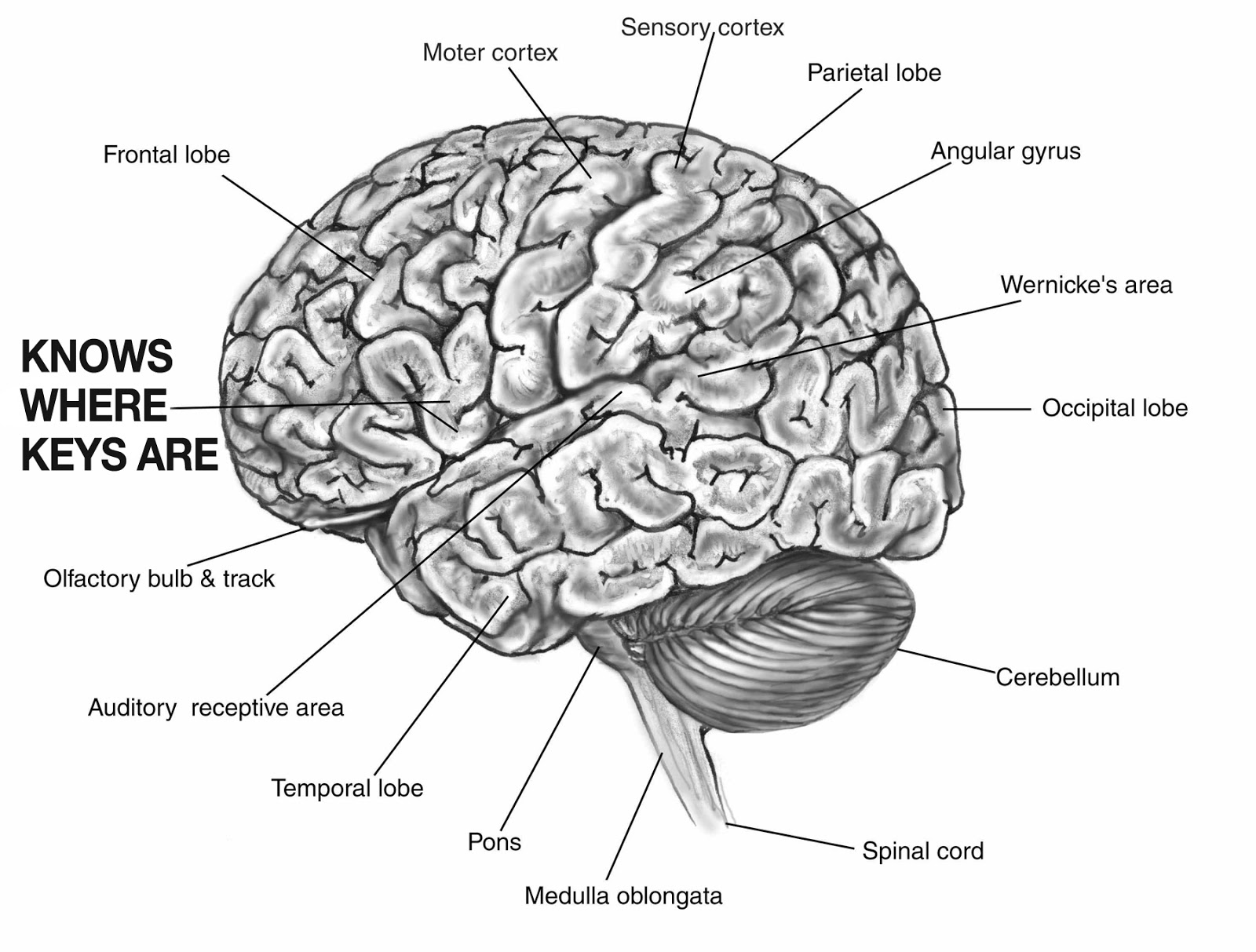 sweatpantsmom: October 2012