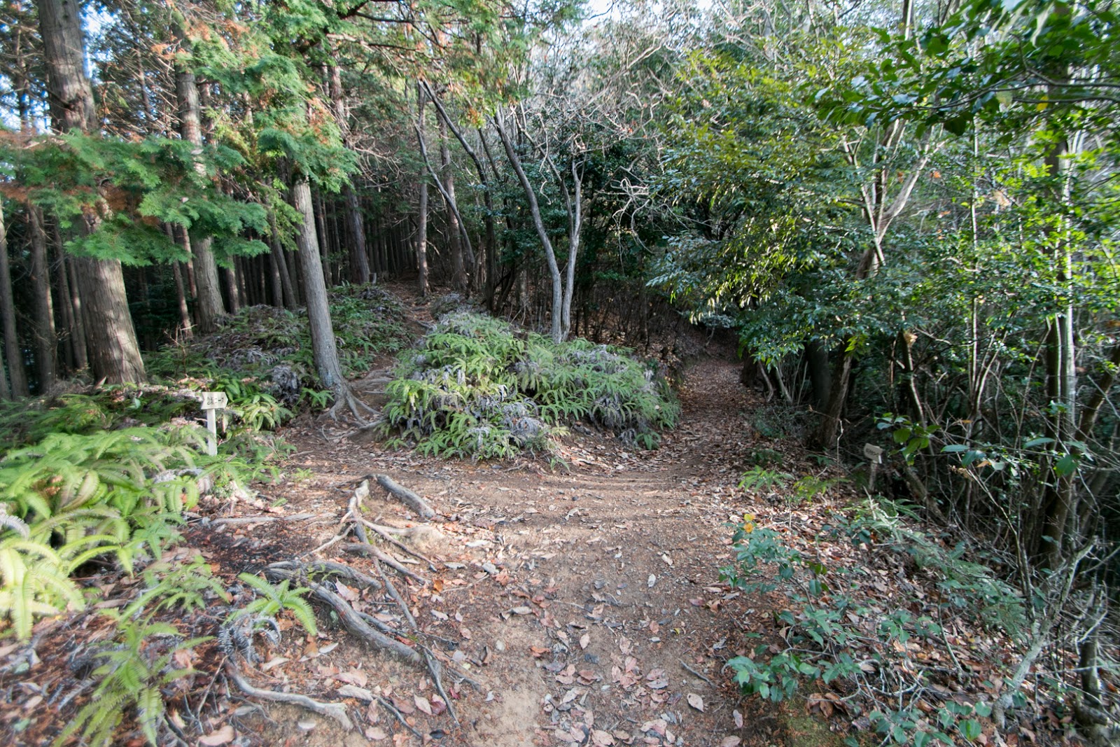 Kuroi Castle -Castle of red devil of Tanba province- | Japan Castle ...