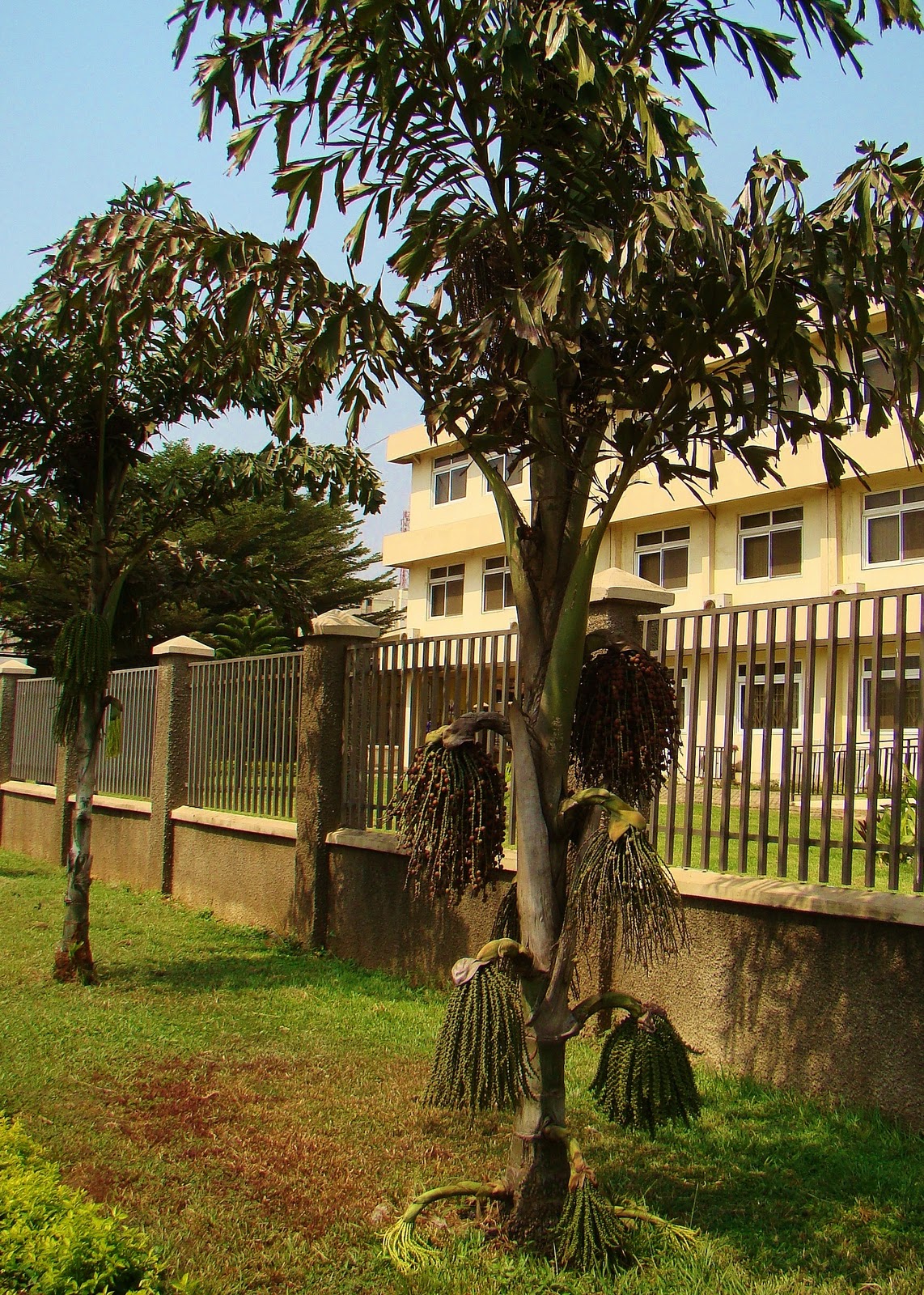 WAKING PLANET: Ghana Photo Chronicles