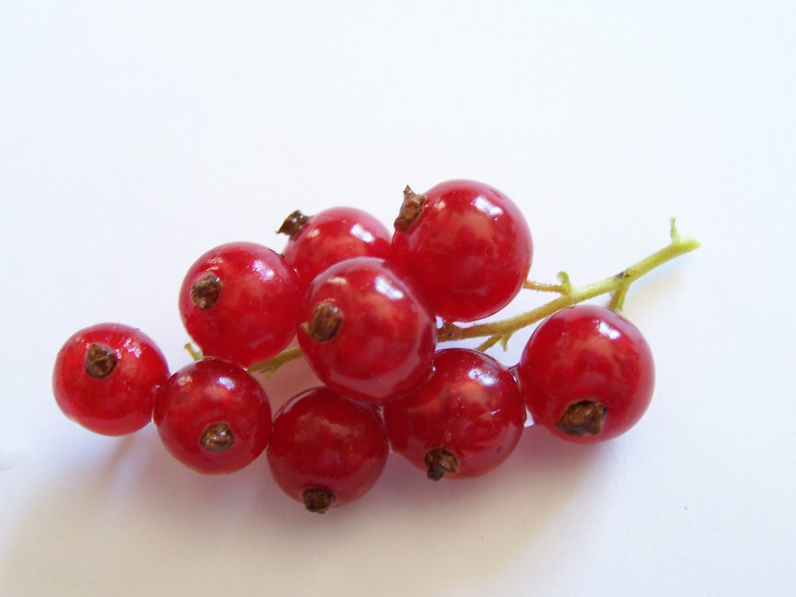 Astuce pour cueillir les groseilles