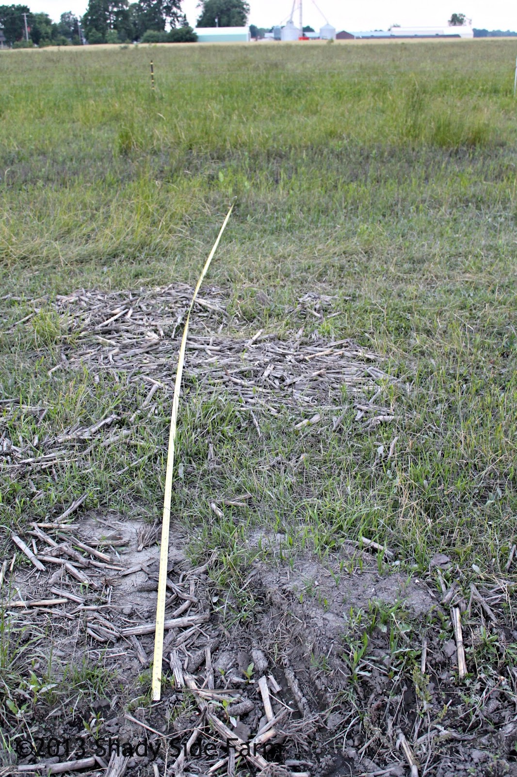 Filter Strips Make Clean Waterways