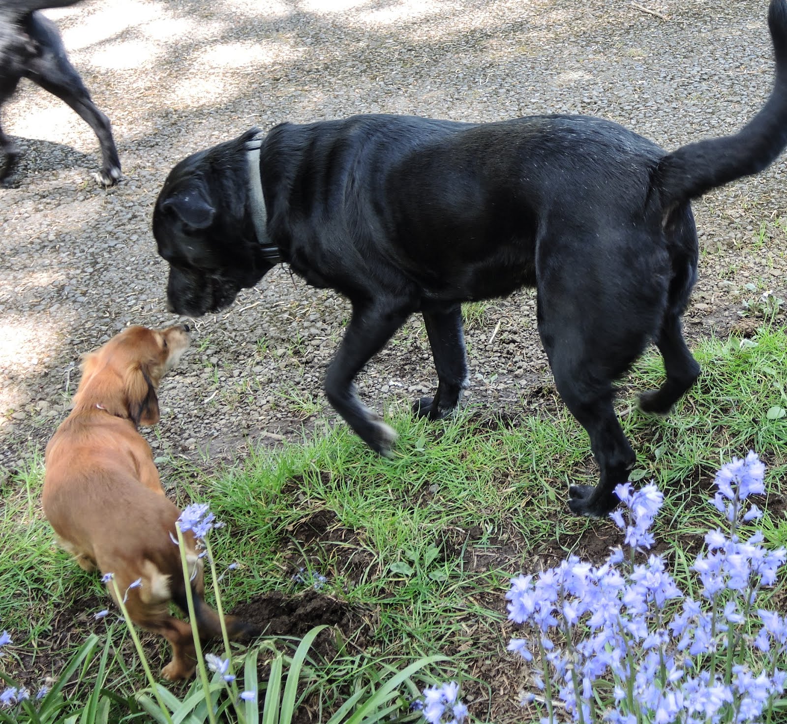 PICAYUNE PHOTOS: ALLEN BARN SIGN