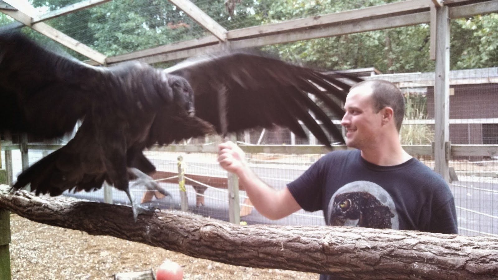 World Bird Sanctuary: More About Dorothy.....Condor Training