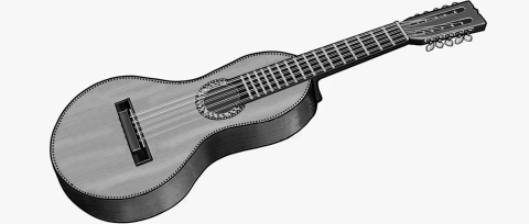 World musical instruments: Bordonua