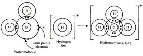 Frank Chapter 2 Chemical Bonding ICSE Solutions and MCQ Class 10 Chemistry